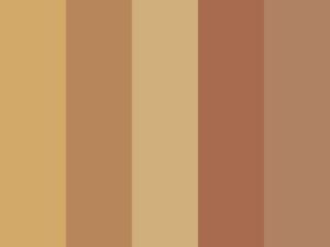 Key Differences Between Beige and Tan Color - Enthralling Gumption