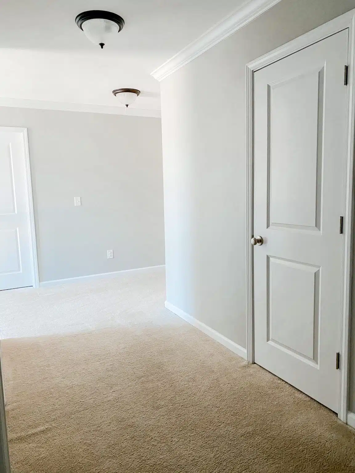 Sherwin Williams Repose Gray Paint Sherwin Williams Repose Gray: