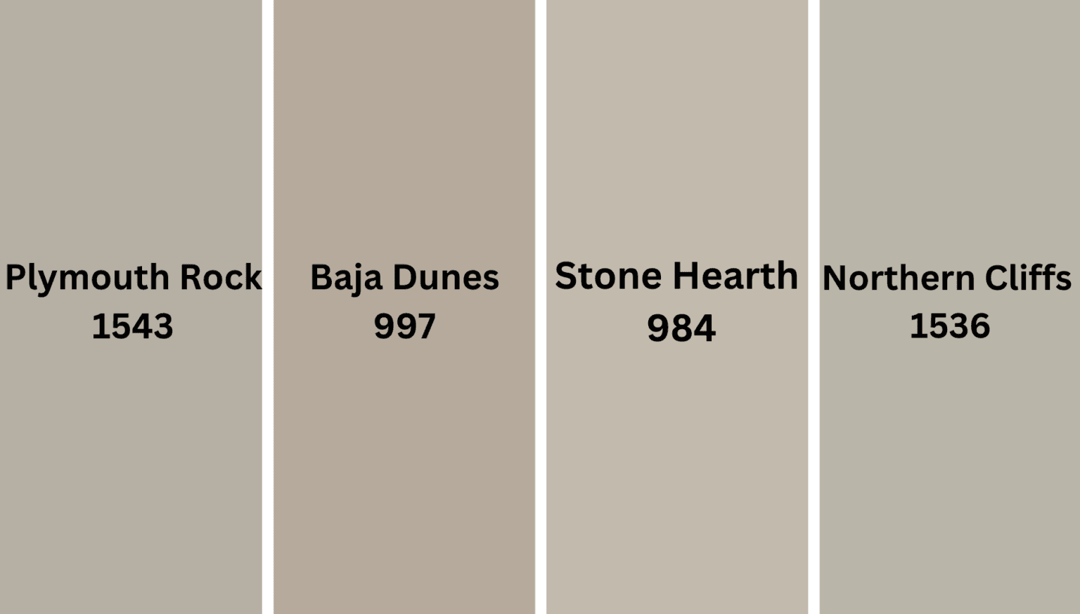 Benjamin Moore's Pashmina (AF-100): A Review - Enthralling Gumption