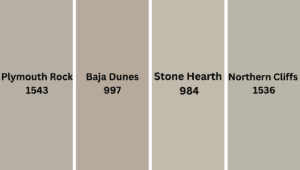 Benjamin Moore's Pashmina (AF-100): A Review - Enthralling Gumption