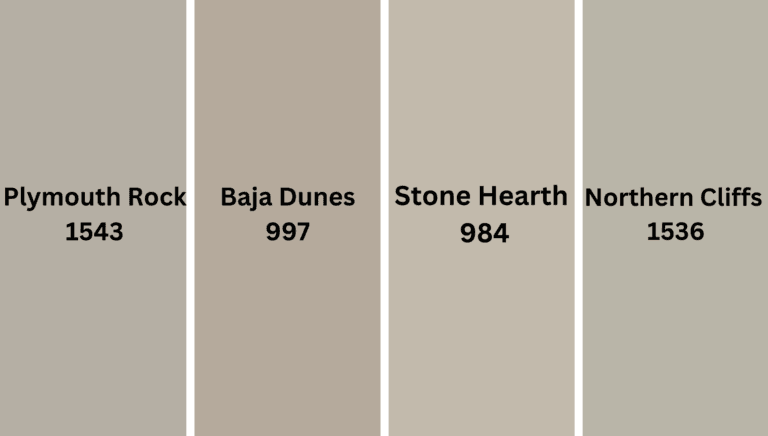 Benjamin Moore's Pashmina (AF-100): A Review - Enthralling Gumption