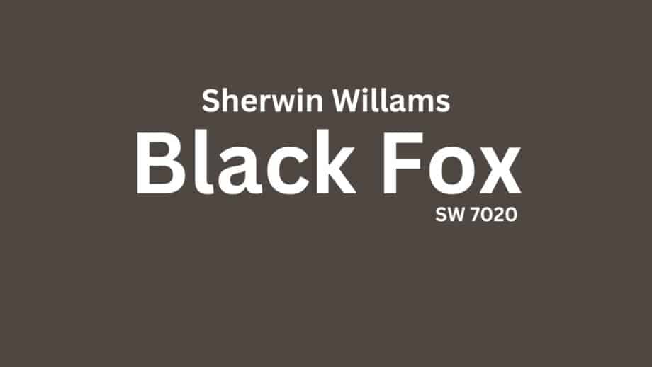 Sherwin Williams Black Fox(SW 7020): Complete Review - Enthralling Gumption
