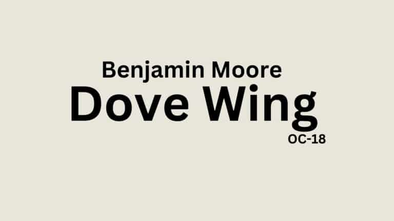 Dove Wing Benjamin Moore (OC-18): A Full Review - Enthralling Gumption