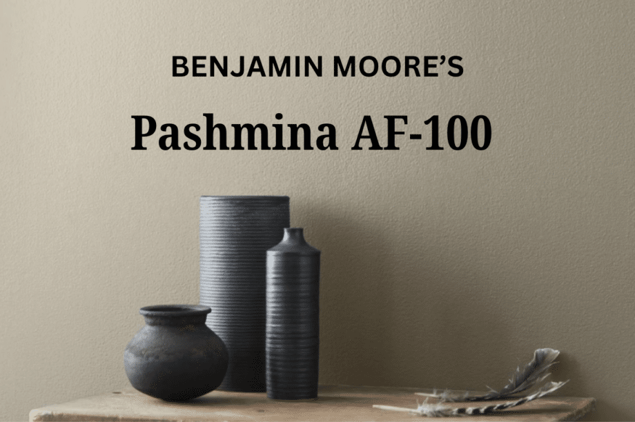 Benjamin Moore's Pashmina (AF-100): A Review - Enthralling Gumption