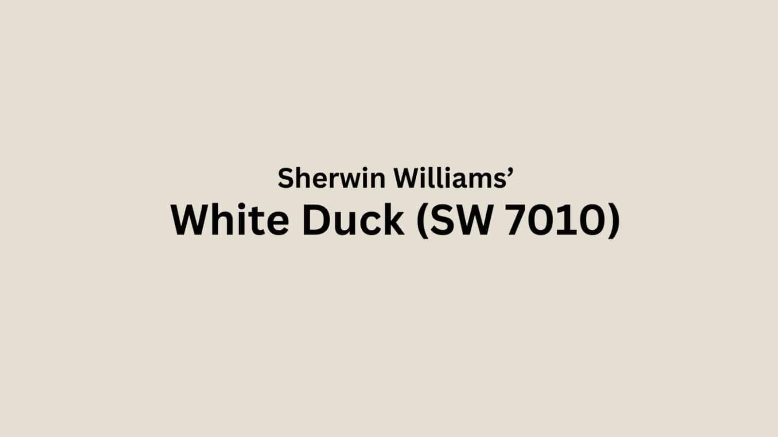 Sherwin Williams' Taupe of the Morning (SW 9590): A Review ...