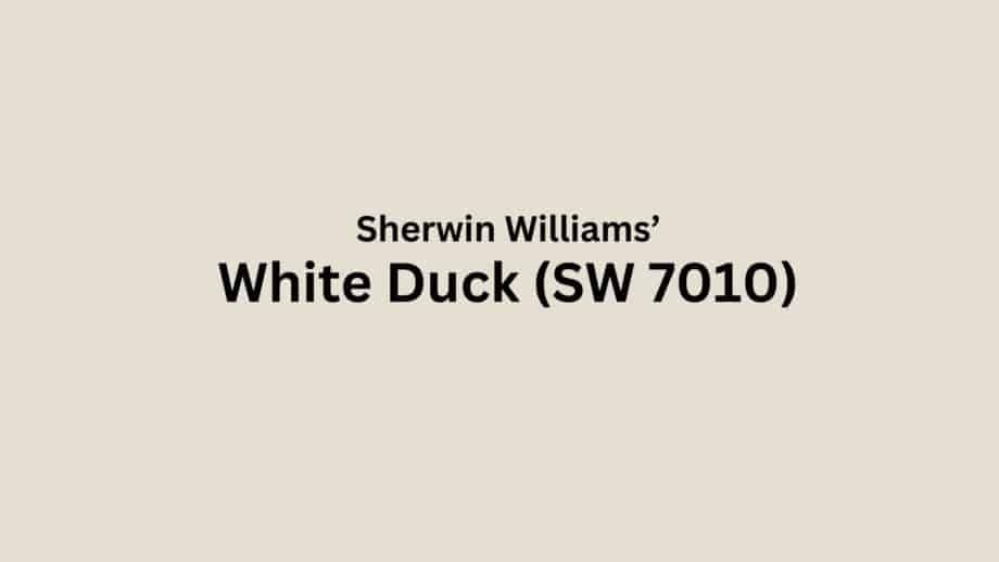 Sherwin Williams White Duck (SW 7010): A Review - Enthralling Gumption