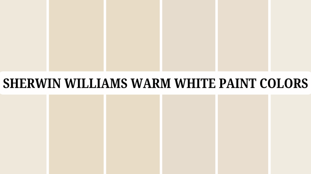 Sherwin Williams Rainwashed (SW 6211): A Review - Enthralling Gumption