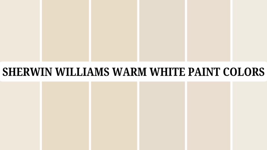 Sherwin Williams Tan Colors: Warmth for Any Home - Enthralling Gumption
