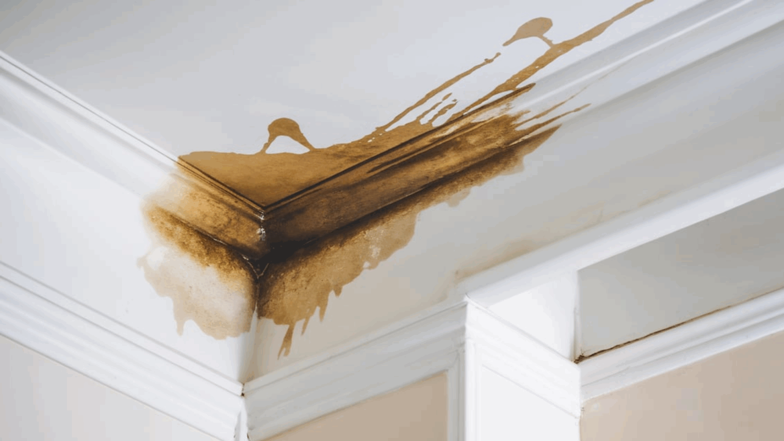 Bowing Walls: What They Mean and How to Fix Them - Enthralling Gumption