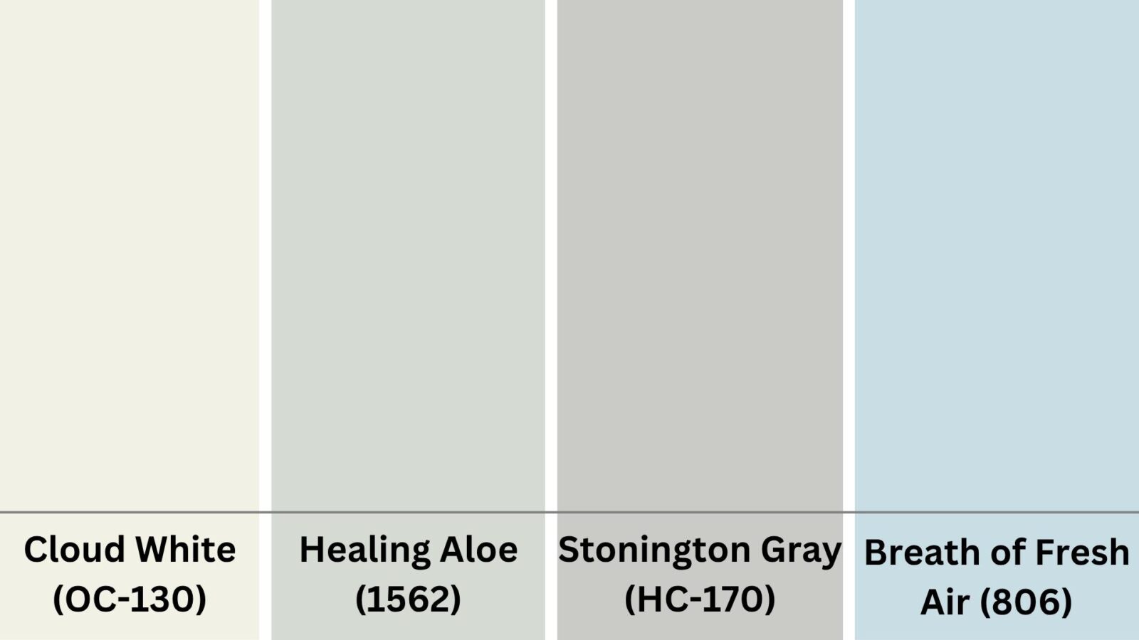 Benjamin Moore Wrought Iron Color Palette: Top Ideas - Enthralling Gumption