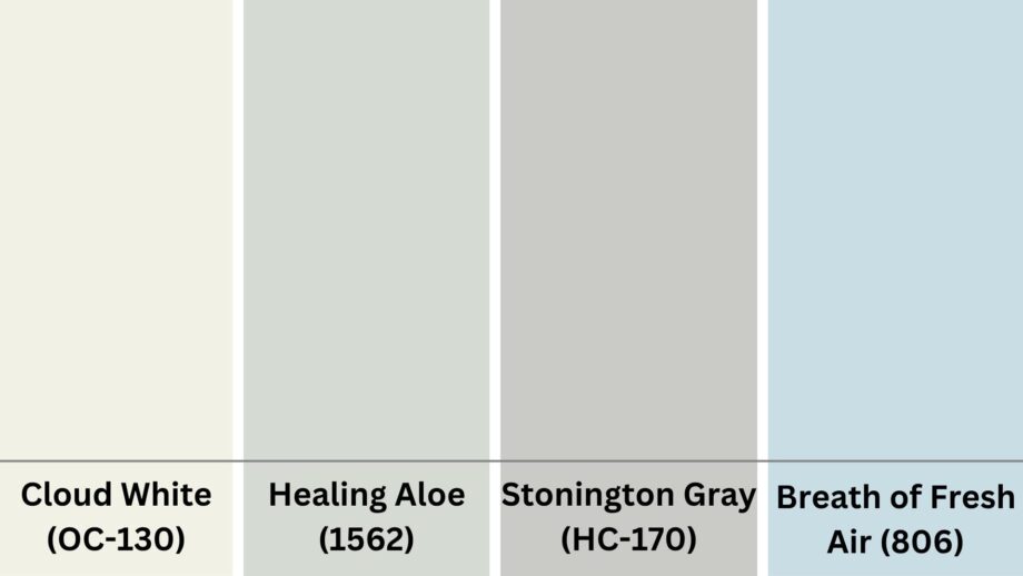 Benjamin Moore Wrought Iron Color Palette: Top Ideas - Enthralling Gumption