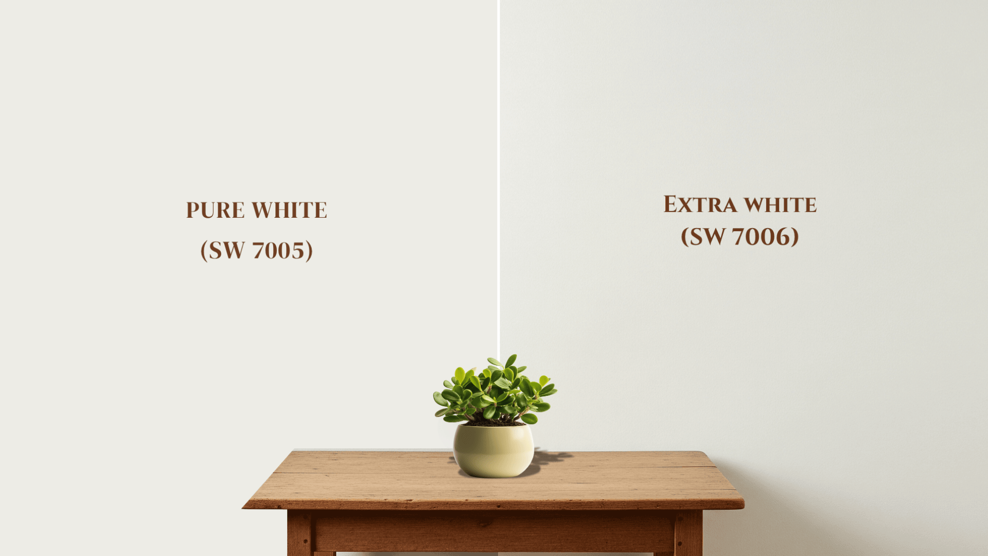 SW Pure White vs Extra White: Which Is Right for You? - Enthralling ...