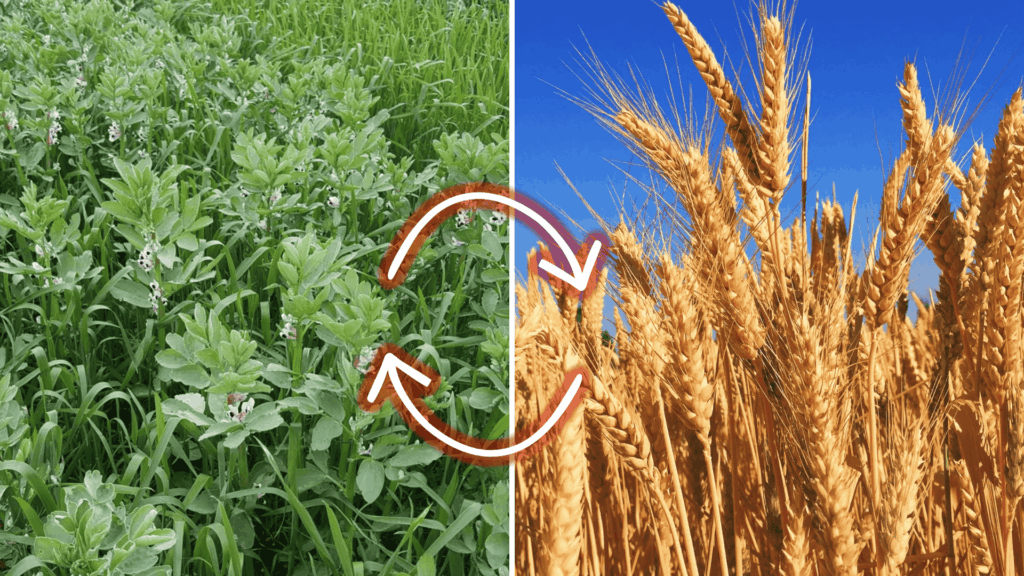 Soil Conservation Methods: Types, Benefits, and Limits - Enthralling ...