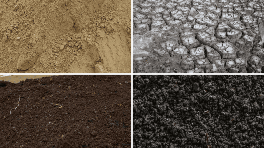 Different Types of Soil and Their Key Properties - Enthralling Gumption